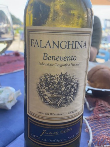 Cavide Falanghina Beneventano | Vivino US