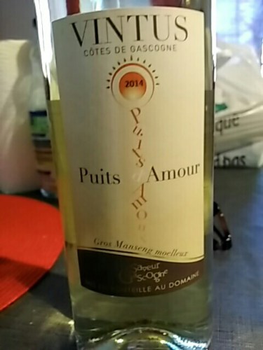 Saveur Gascogne Vintus Puits d'Amour | Vivino US