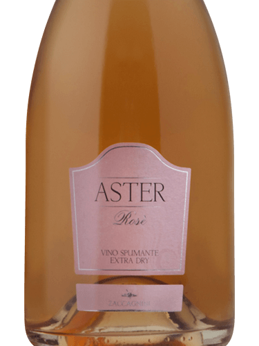 Cantina Zaccagnini Aster Rosè Extra Dry | Vivino France