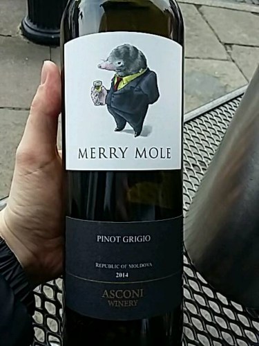Asconi Merry Mole Pinot Grigio | Vivino US