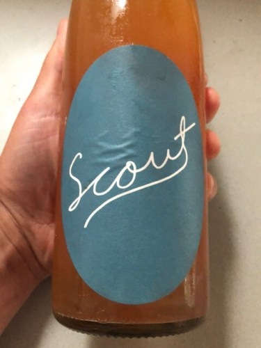 Scout Skin Contact Riesling | Vivino US