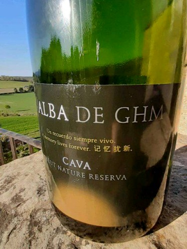 Alba De GHM Cava Brut Nature Reserva | Vivino US