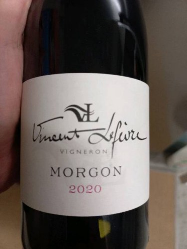 Vincent Lefevre Morgon | Vivino English