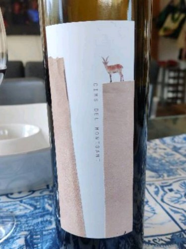 Celler Ronadelles - Cap de Ruc Cims del Montsant | Vivino US