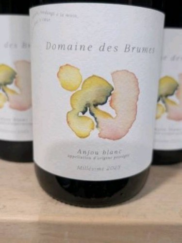 Domaine des Brumes Anjou Blanc | Vivino US