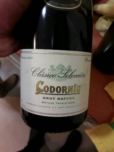 Codorníu Clásico Selección Brut Nature | Vivino Español