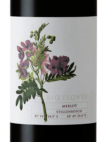 2021 Big Flower Merlot | Vivino US