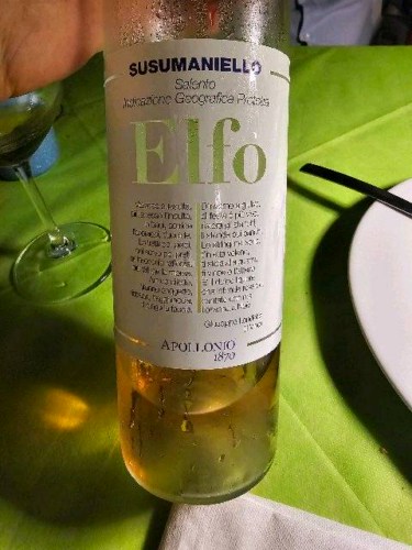 Apollonio Elfo Susumaniello Rosato | Vivino US