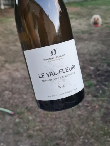 2018 Domaine Delaunay Domaine du Val Fleuri Muscadet-Sevre et Maine Sur ...