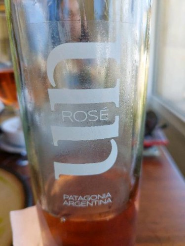 Antigua Bodega Un Rosé | Vivino English