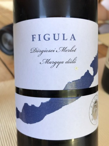 2021 Figula Dörgicsei Merlot Margya Dűlő | Vivino US