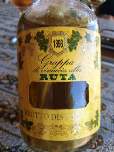 N.V. Brotto Grappa di Vinaccia alla Ruta | Vivino Australia