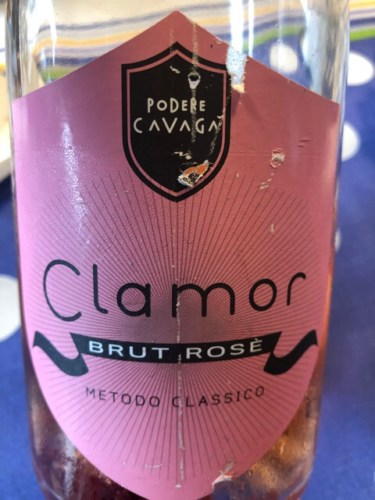 Podere Cavaga Clamor Brut Rosé | Vivino US
