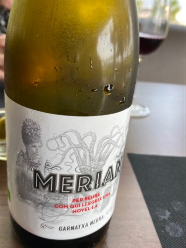 Cellers Tarroné Merian Garnatxa Negra | Vivino Schweiz
