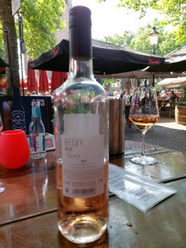 Luc Pirlet Belvy Terroirs Rosé | Vivino English