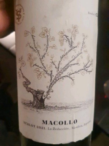 Macollo Merlot | Vivino US
