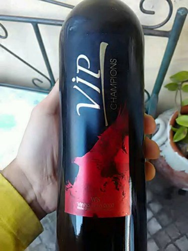 WS VIP Champions Tinto Vinho Regional Alentejano | Vivino US