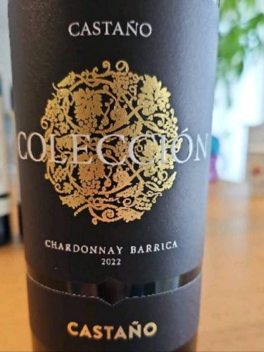 Castaño Colección Chardonnay Barrica | Vivino US
