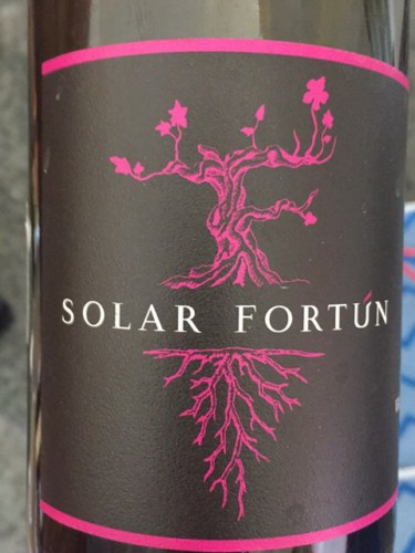 Solar Fortún O Positivo | Vivino English