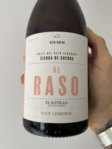 Rico Nuevo Al Raso Garnacha | Vivino US