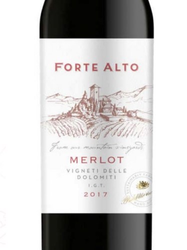 Mezzacorona Forte Alto Merlot Dolomiti | Vivino US