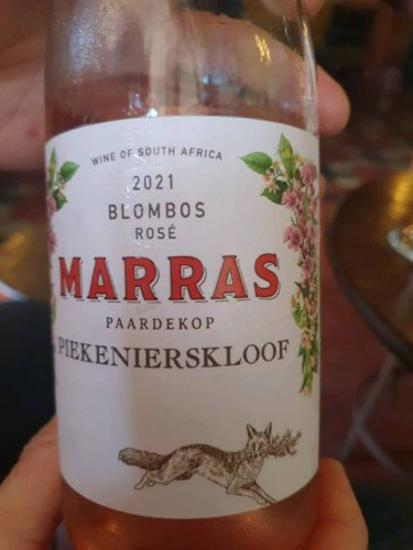 Marras Blombos Rosé | Vivino US