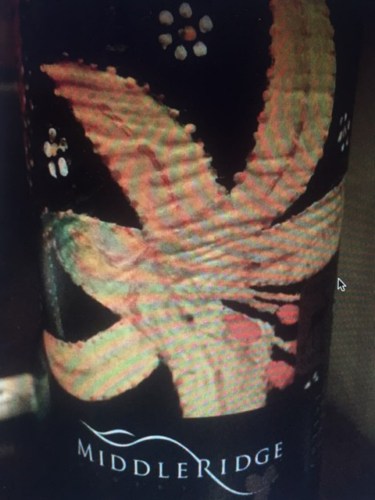 Middle Ridge Winery Malbec | Vivino US