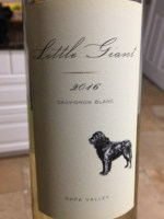 Little Giant Sauvignon Blanc | Vivino English