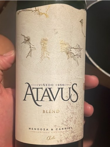 Viña Mendoza & Carriel Atavus Blend | Vivino US