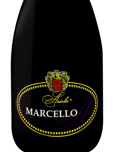 N.V. Ariola Marcello | Vivino US