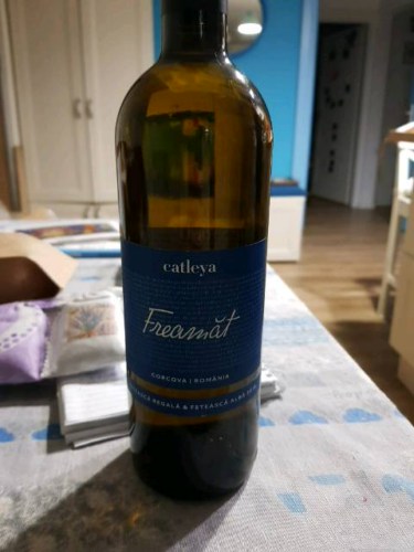 Catleya Freamat Fetească Regală - Fetească Albă | Vivino US