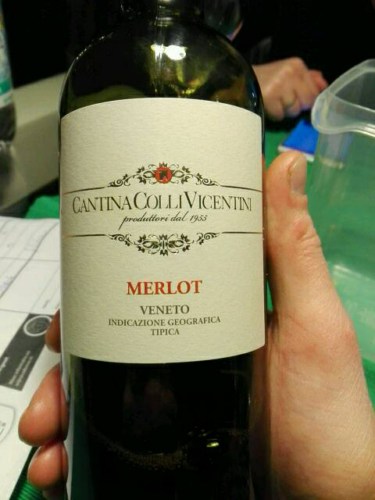 Colli Vicentini Merlot Veneto | Vivino US