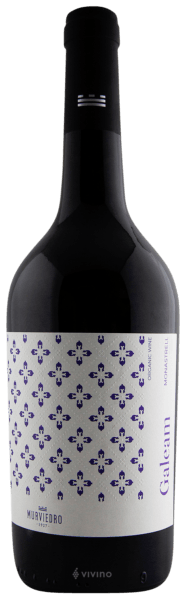 Murviedro Galeam Monastrell | Vivino English