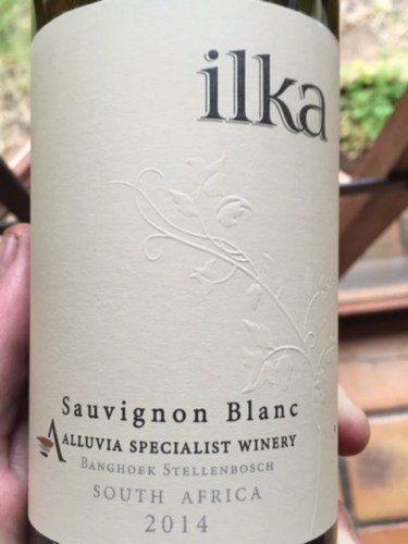 Brugman Wine Ilka Sauvignon Blanc | Vivino US