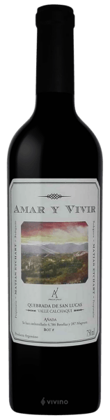 Arca Yaco Amar y Vivir Quebrada de San Lucas | Vivino English