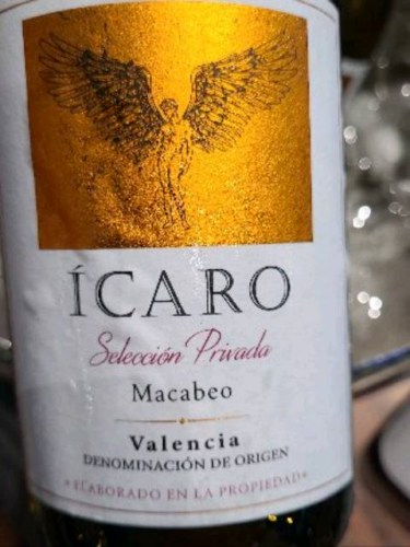 Ícaro Selección Privada Macabeo | Vivino US