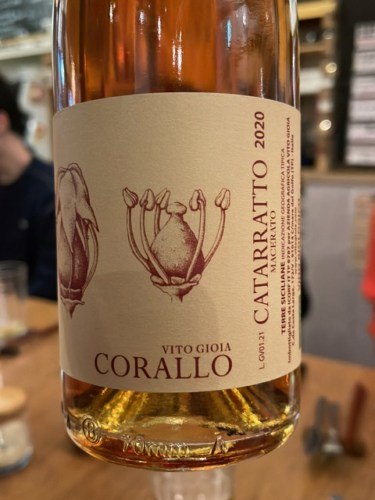 Vito Gioia Corallo Catarratto | Vivino Australia