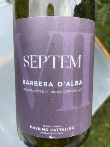 Massimo Rattalino Barbera d'Alba | Vivino US