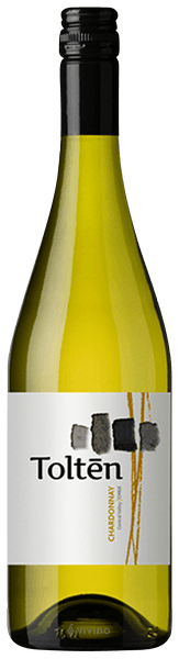Carmen Toltén Chardonnay | Vivino English