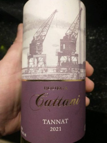 Bodega Cattani Tannat | Vivino US