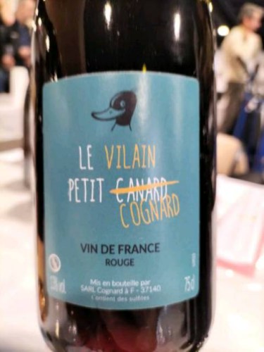 Vins Cognard Le Vilain Petit Cognard | Vivino US