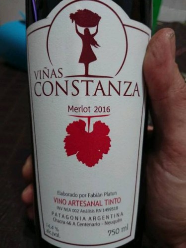 Viñas Constanza Merlot | Vivino