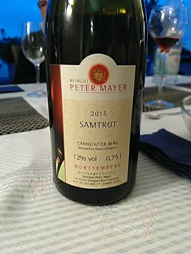 Weingut Peter Mayer Cannstatter Berg Samtrot | Vivino US