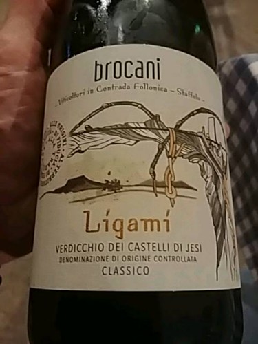 Brocani Ligami Verdicchio dei Castelli di Jesi Classico | Vivino US