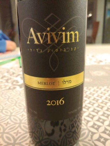 Avivim Winery Merlot (מרלו) | Vivino Brasil