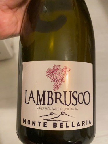 Monte Bellaria Lambrusco | Vivino US