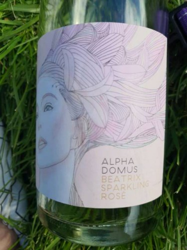 N.V. Alpha Domus Beatrix Sparkling Rosé | Vivino English