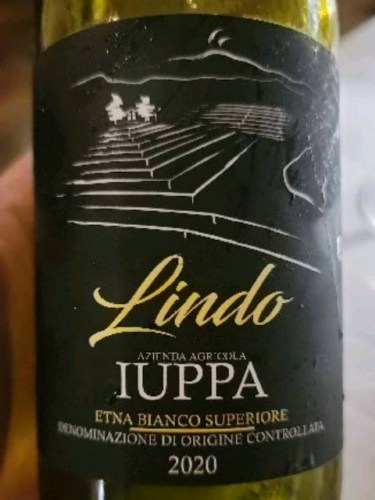 Azienda Agricola Iuppa Lindo Etna Bianco Superiore | Vivino English