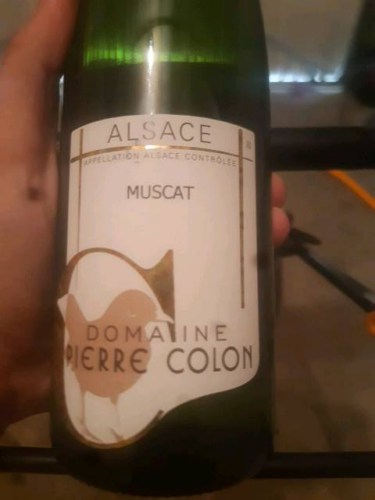 Pierre Colon Muscat | Vivino US