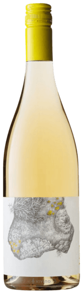 Fleet Pinot Gris | Vivino English